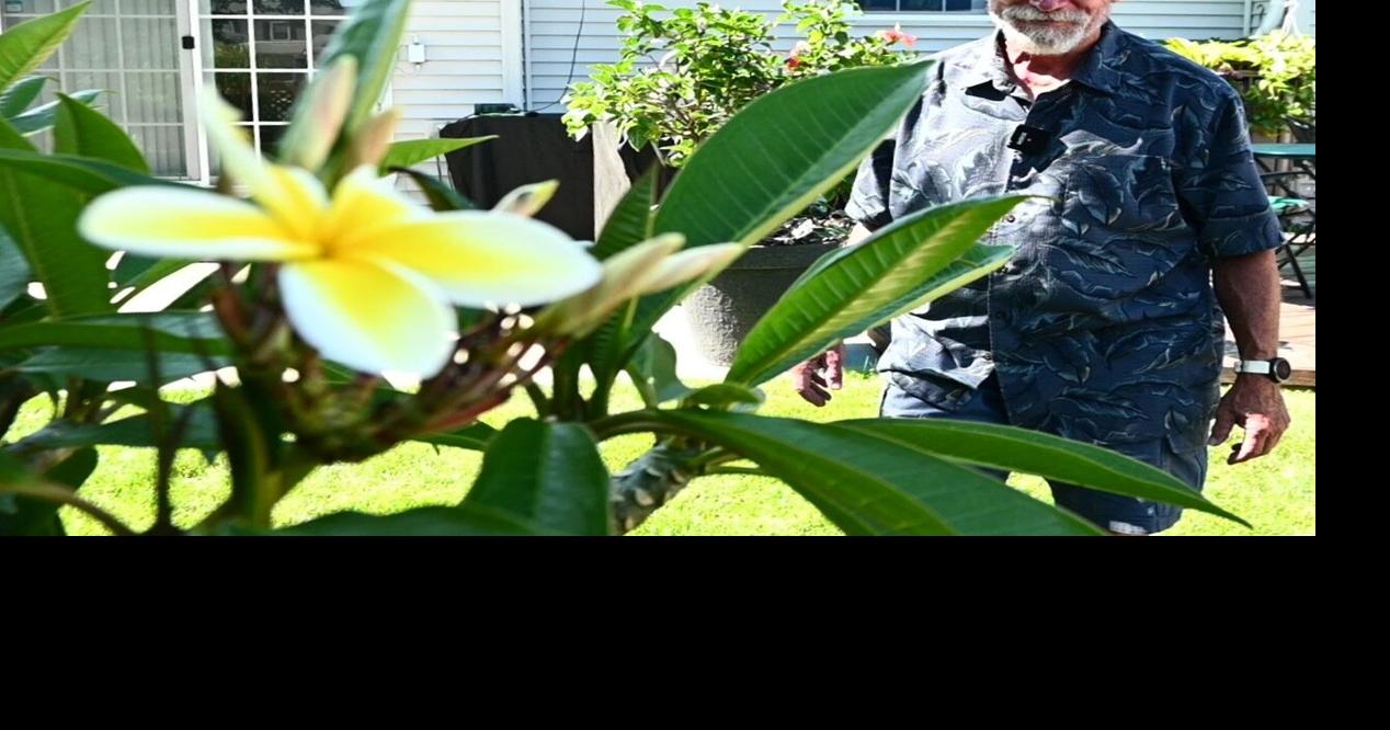 Photos: 27th annual Glorious Garden Festival takes root in Bloomington ...