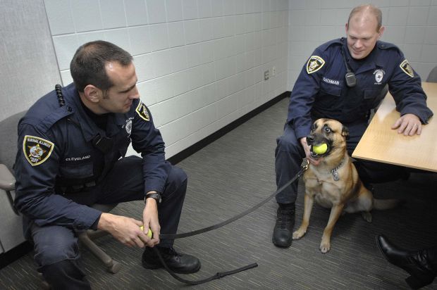 Police dogs to receive protective vests