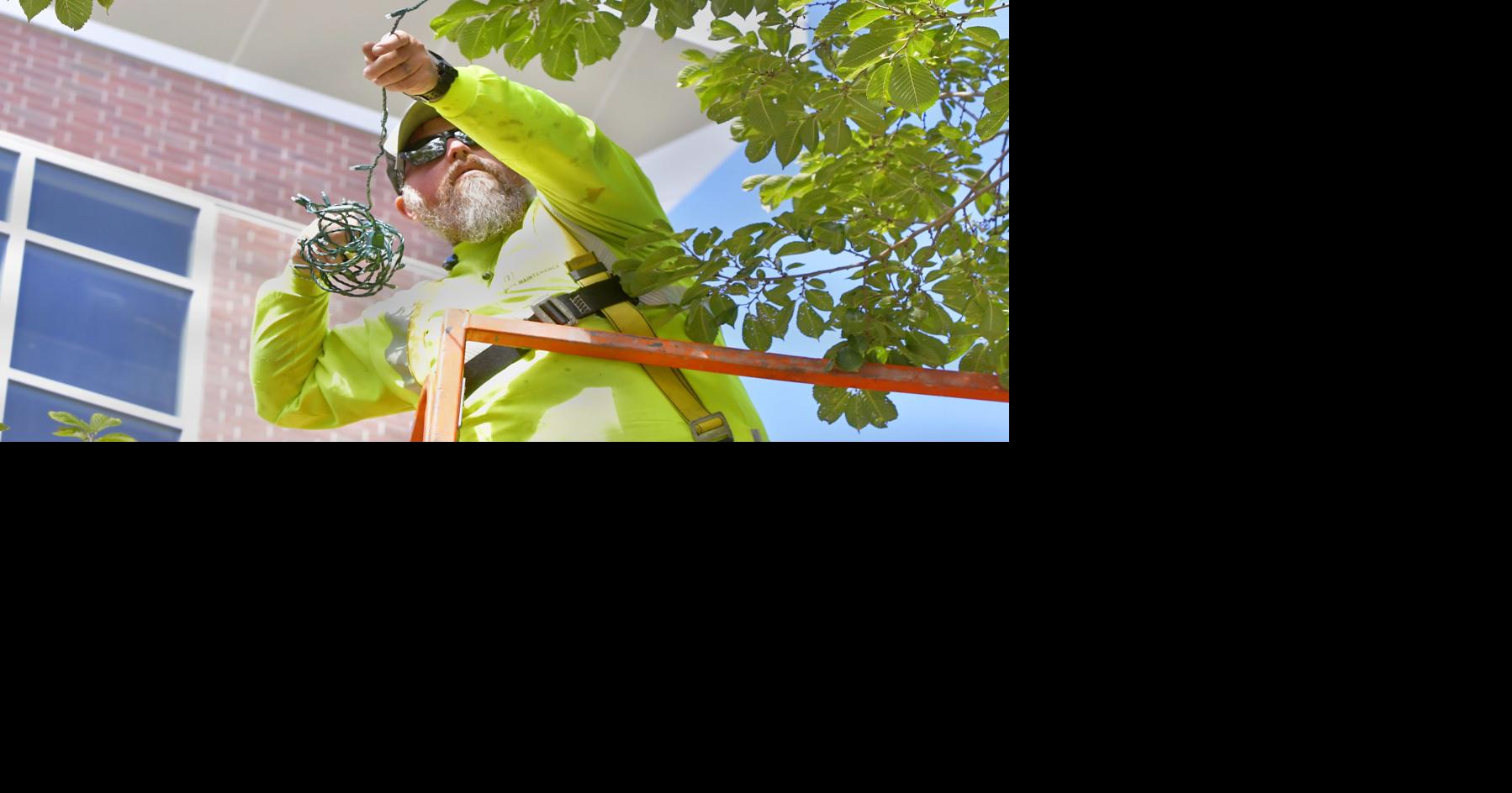 Annual tree-lighting ceremony on Monday in uptown Normal