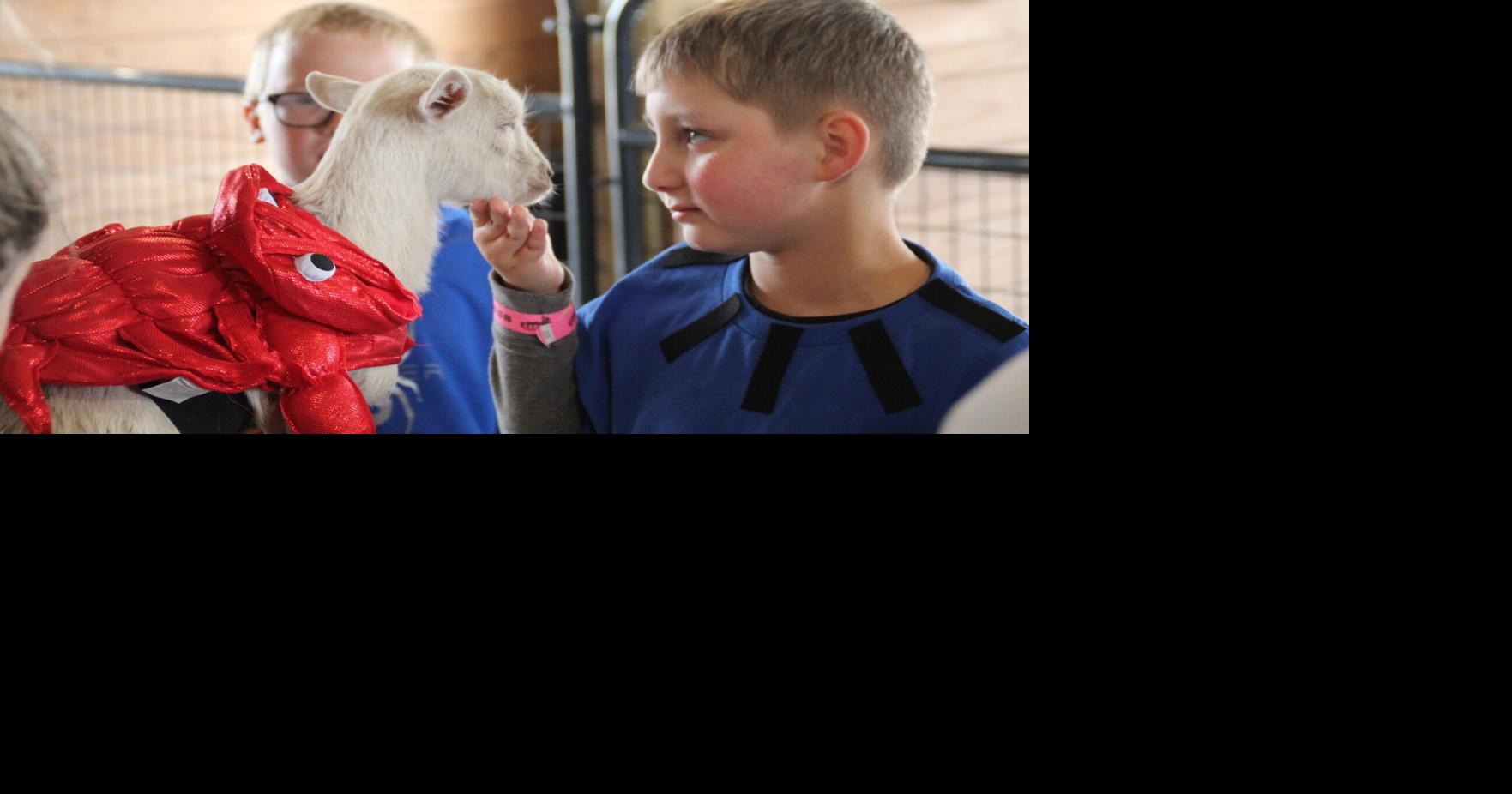 Fun-filled fall at Rader Family Farms wraps up Sunday