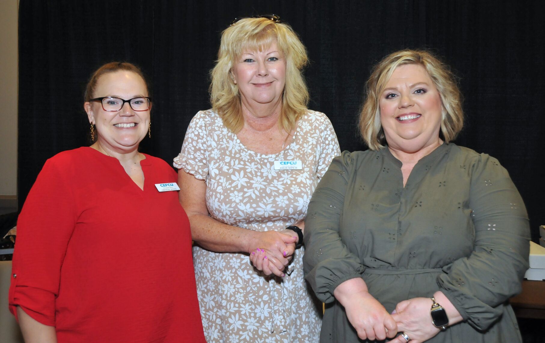 McLean County Chamber hosts Bloomington nonprofit showcase