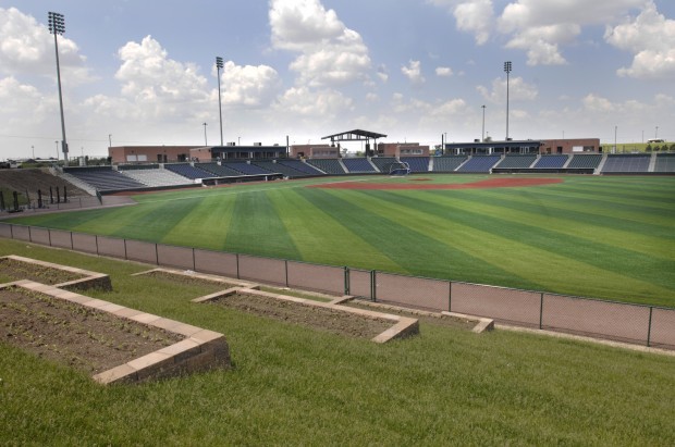 A long road from seed to reality for CornBelters