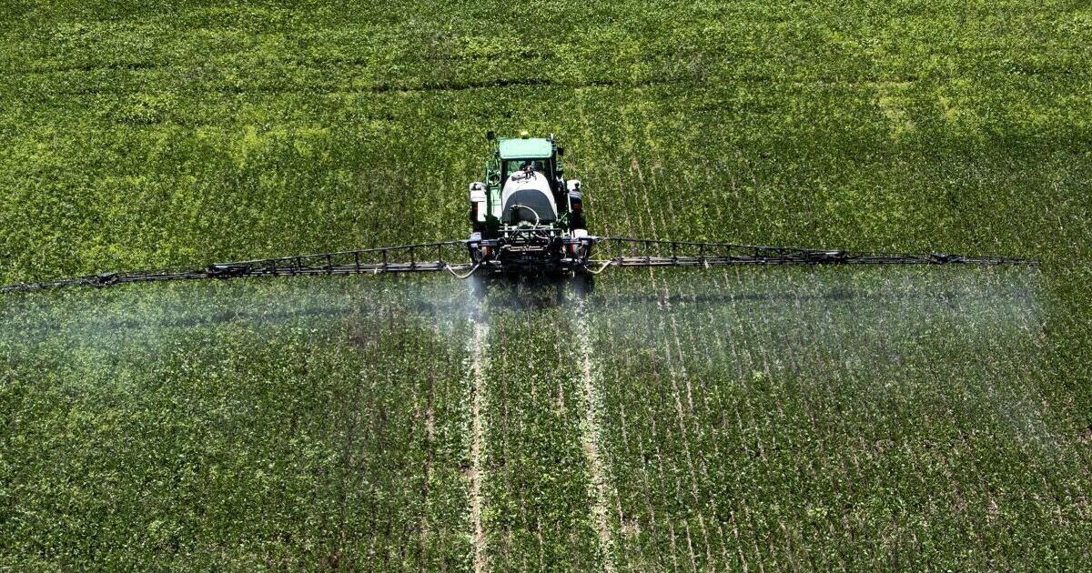 Guebert: USDA’s $3B Climate-Smart Commodities program pointless 'greenwashing'