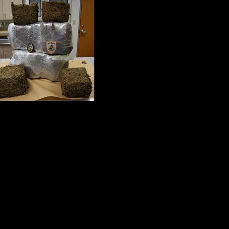 Surprise! Bales of marijuana found in rural storage shed