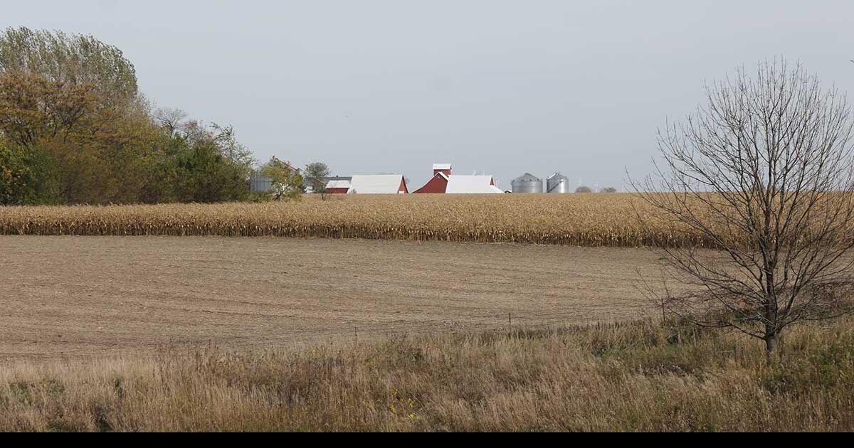 Midwest farmland values up double digits again