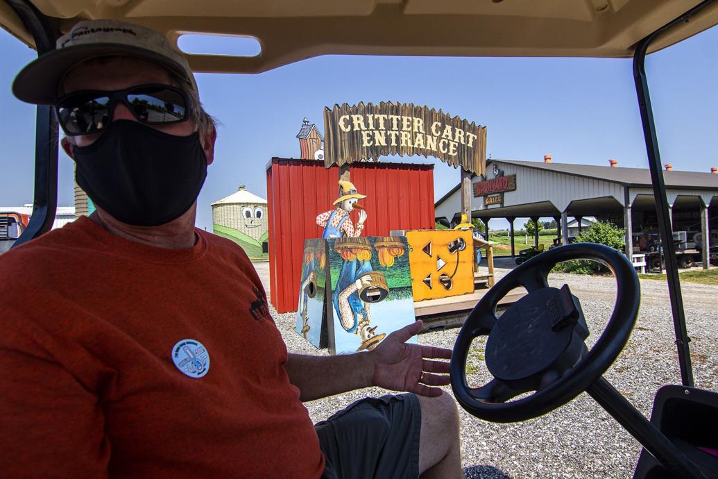 Sunflowers in full bloom at Rader Family Farms in Normal