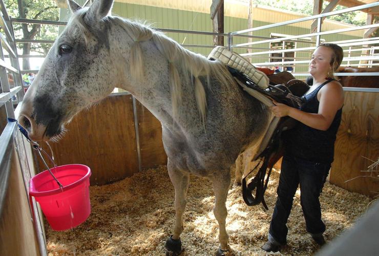 Rodeo, demo derby and more in store at Livingston County Ag Fair