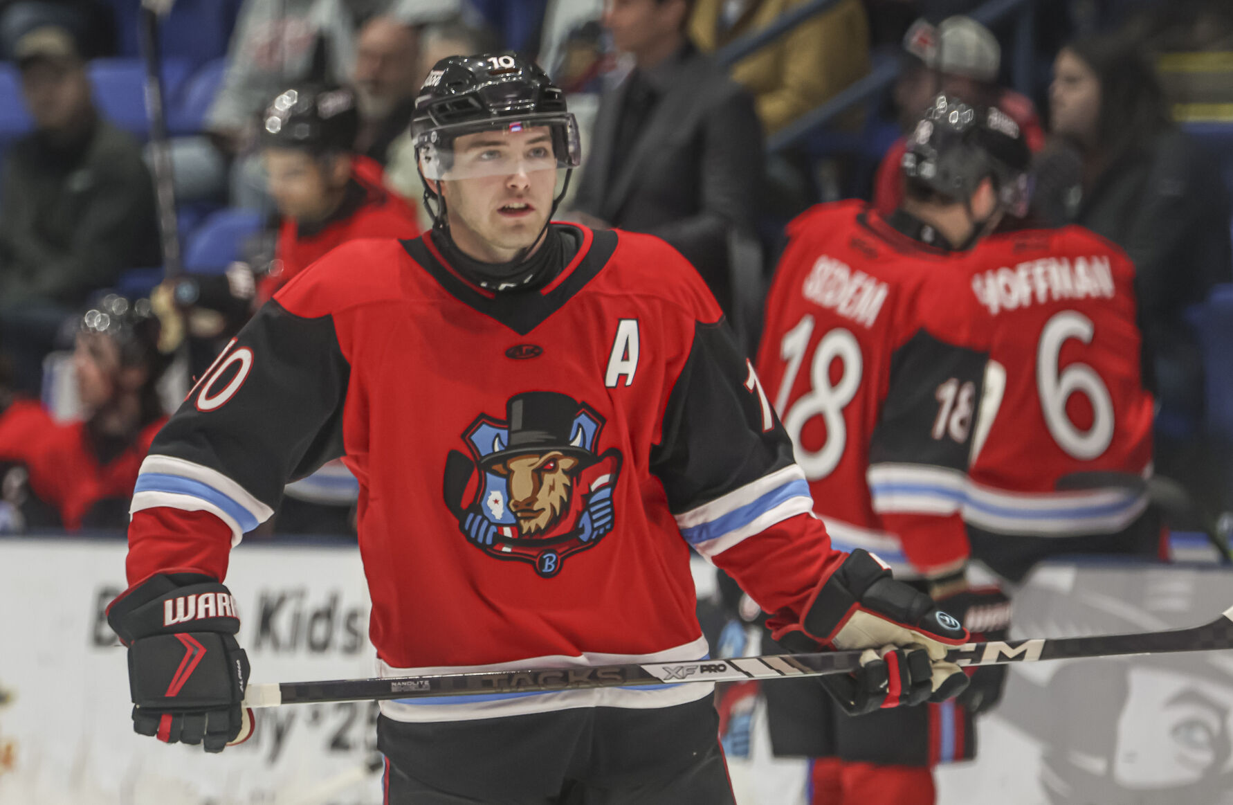 Bison bring back Brett Budgell, add new voice in booth