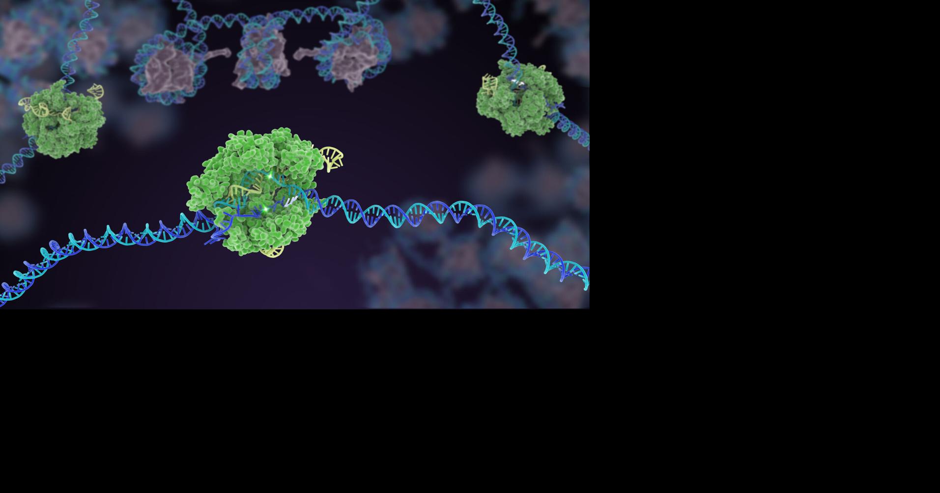 'Telling scientific stories': Q&A with Janet Iwasa, biochemist and 2023 ...