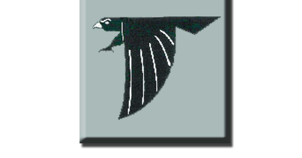 Meet the GCMS Falcons