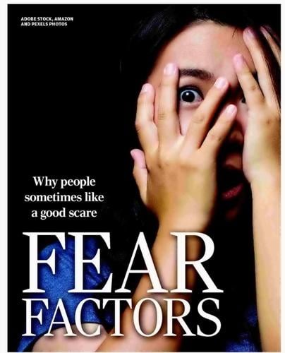 FEAR FACTORS