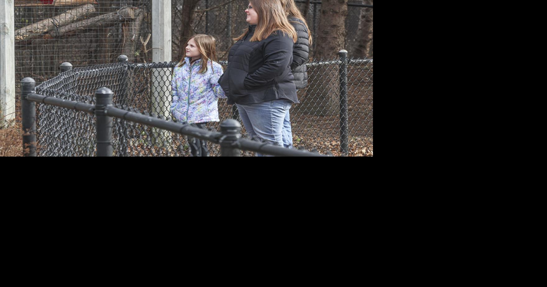 Miller Park Zoo to hold junior zookeeper meetings