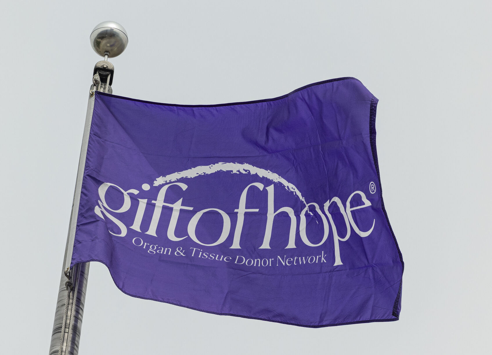 Etta Reed, Carle BroMenn honor National Donate Life Month
