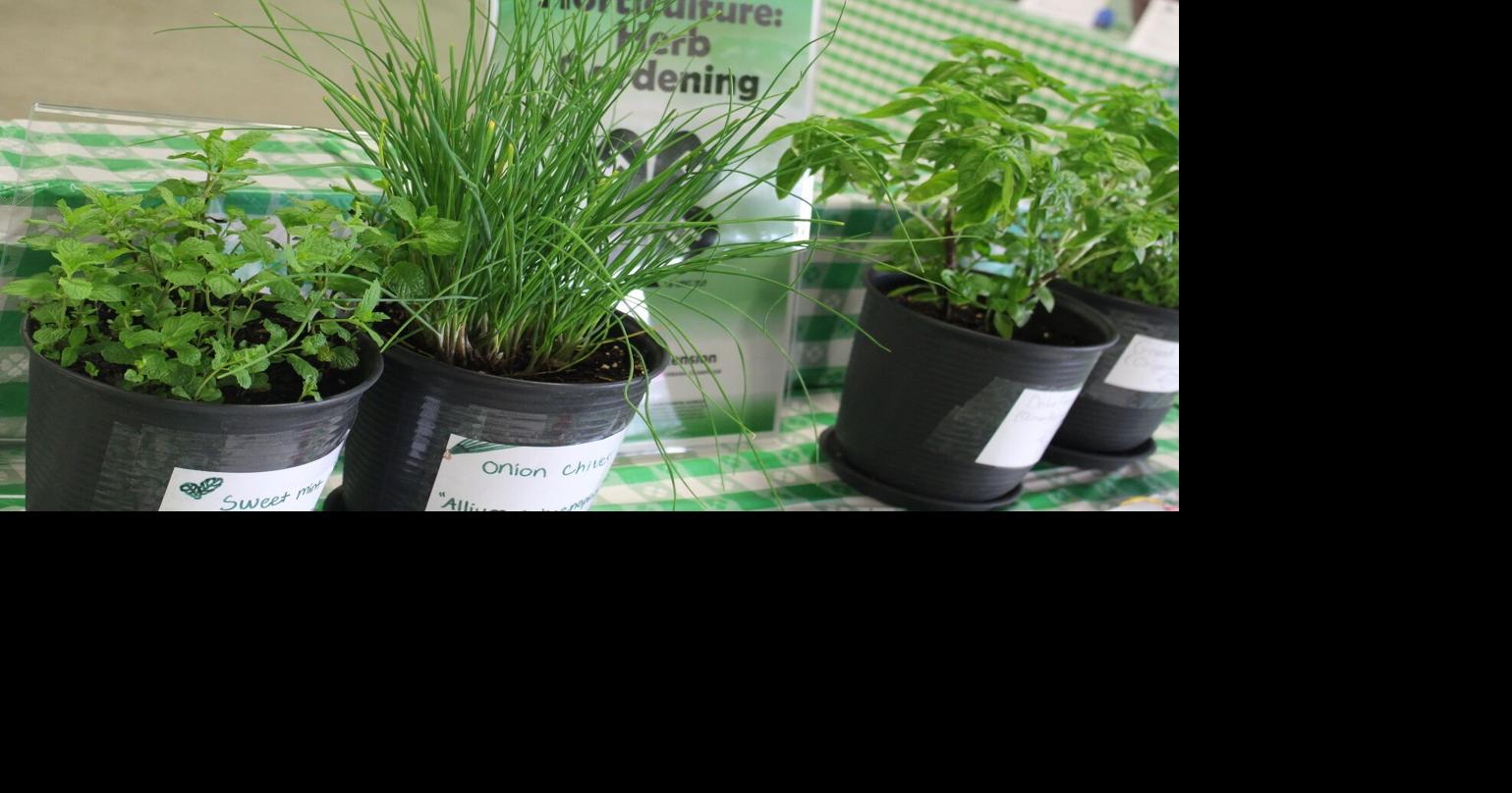 Illinois Extension Master Gardeners class open for 2025