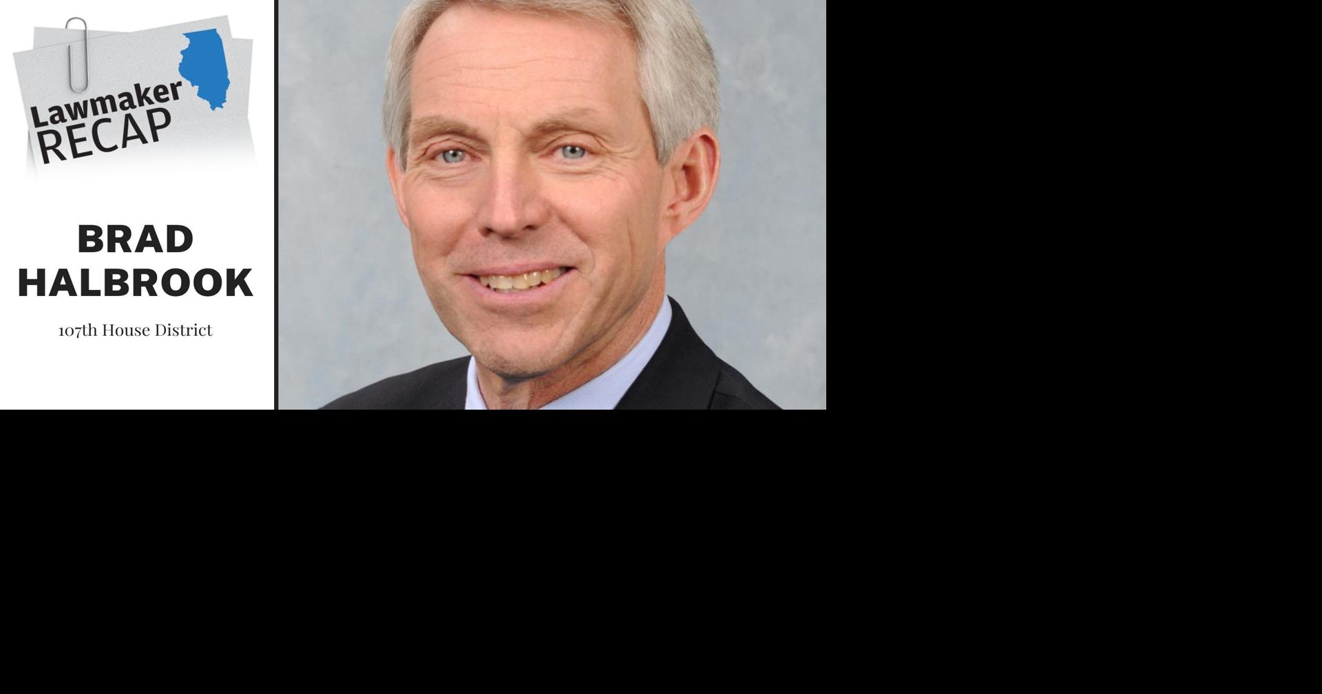 Illinois lawmaker recap: Halbrook thinks 'successes are hard to find ...