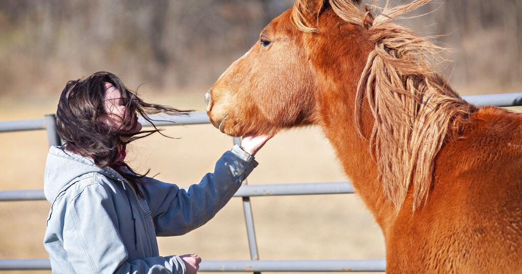 Illinois teen turns 'untouchable' horse into barrel racer