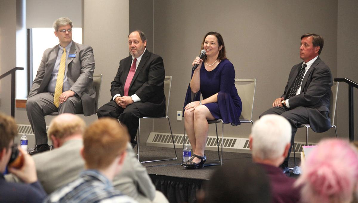 Meet the 4 people running for 2 Central Illinois judge positions