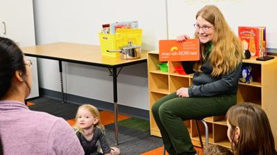 Central Illinois libraries offer summer reading programs