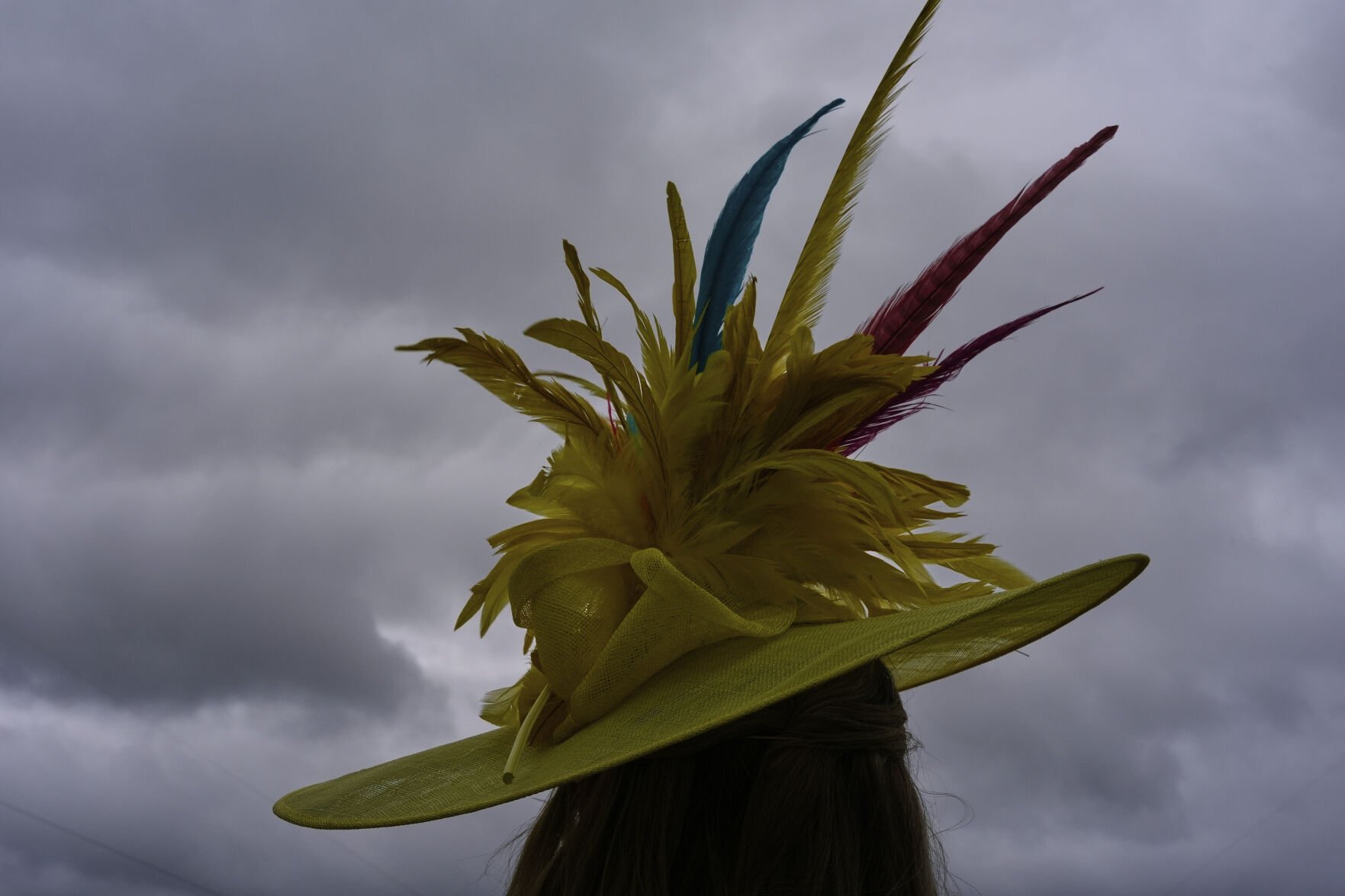 History-making female jockey Diane Crump dies