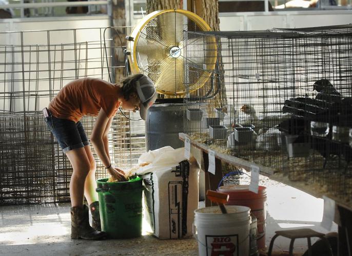 Rodeo, demo derby and more in store at Livingston County Ag Fair