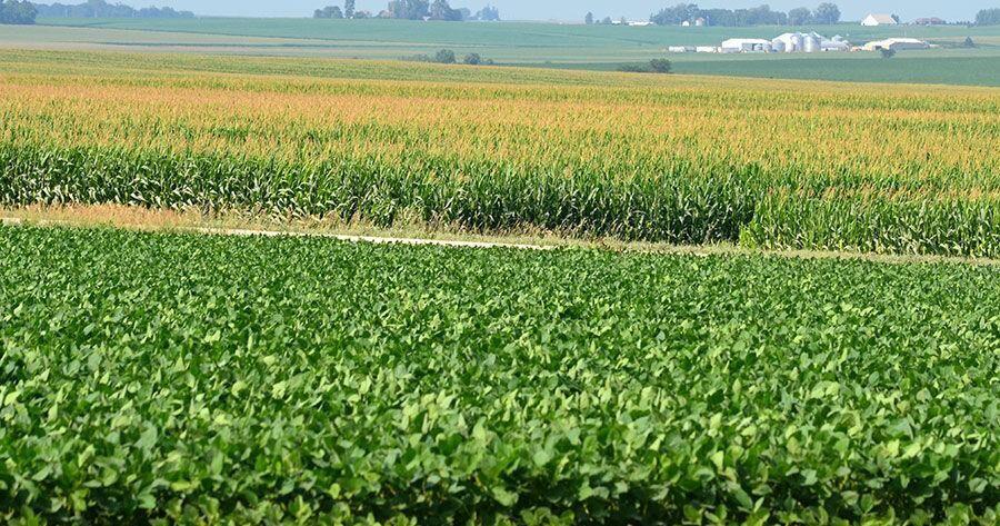 Illinois Soybean Association launches 'It's Sustainably Soy' program
