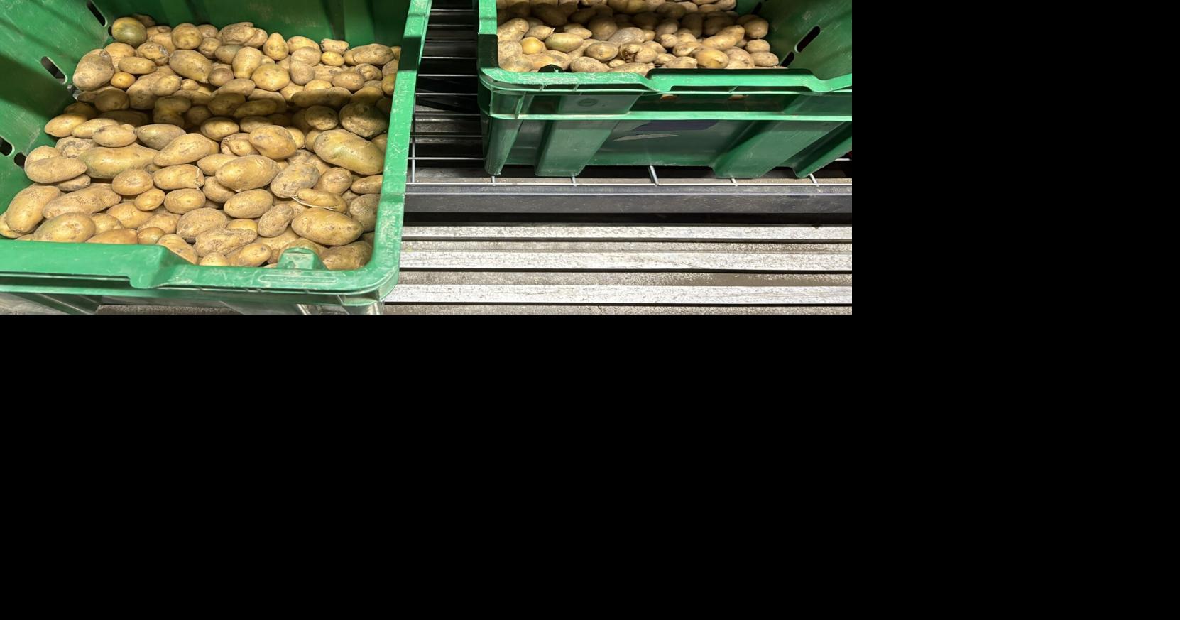 Grounded Living: Farm Family Foods a small-town grocery with big ideas