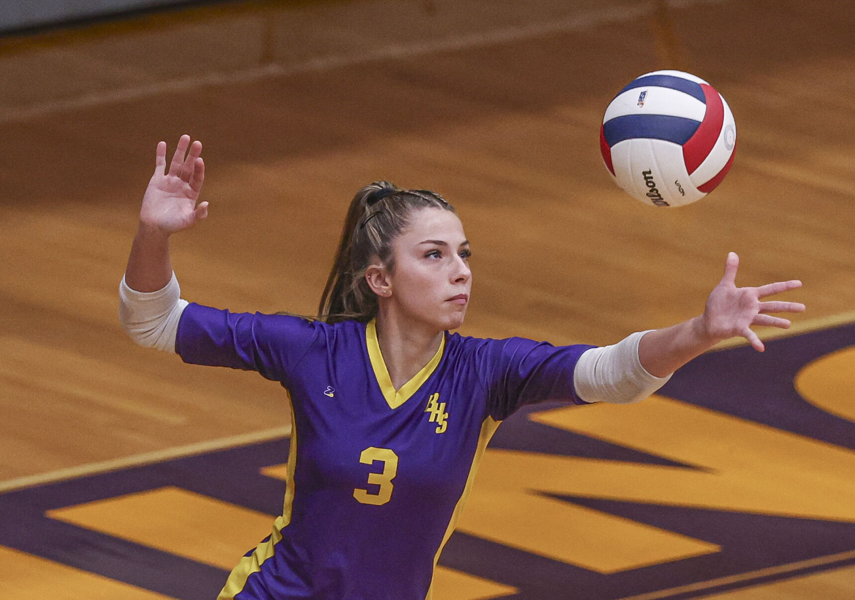 Photos: Volleyball regionals at Bloomington