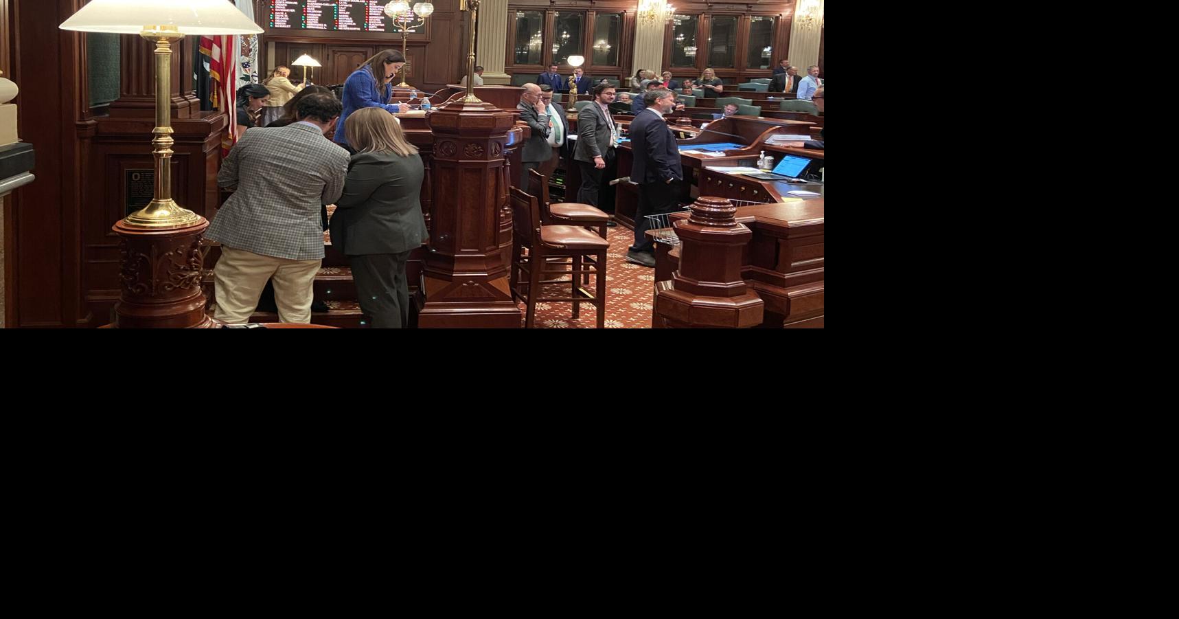 Inside the Illinois House budget vote