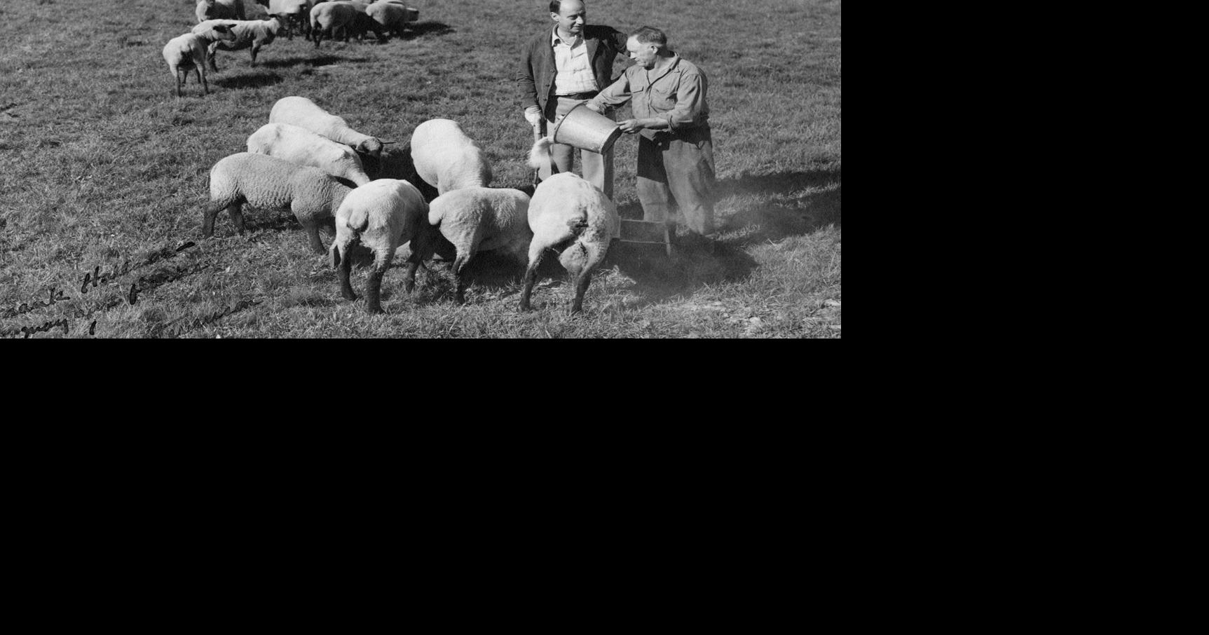 Adlai II drew inspiration from 70-acre farm