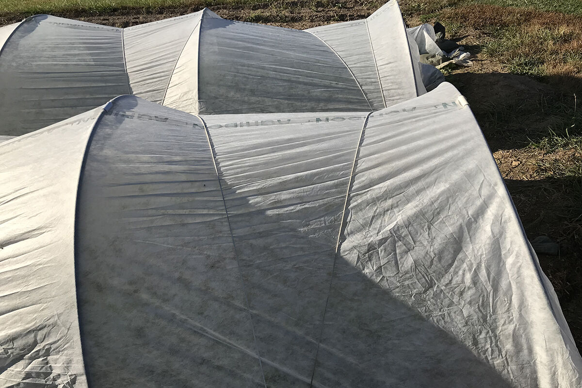 Gardeners Corner: Tips for extending the garden’s growing season