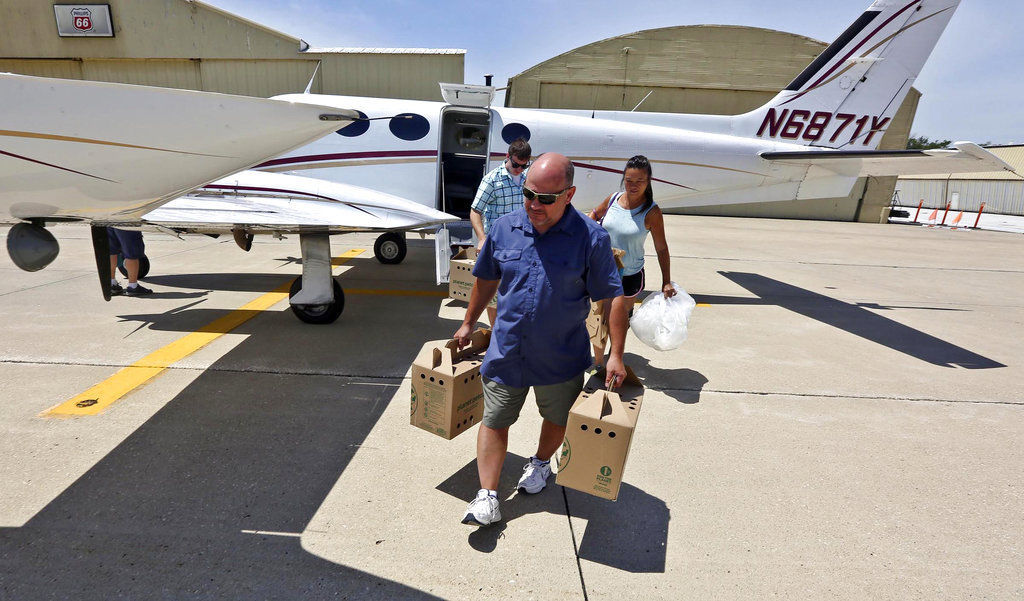 Decatur Raptor Center joins effort to lift osprey numbers