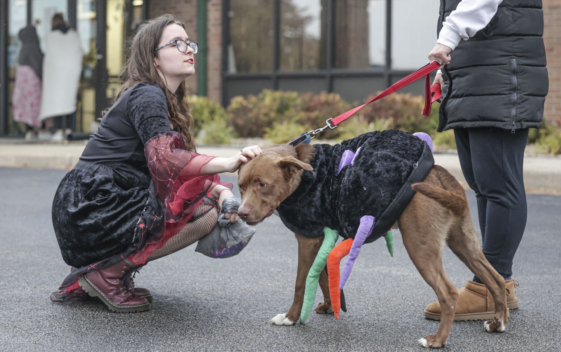 Got plans this weekend? Check out Central Illinois events