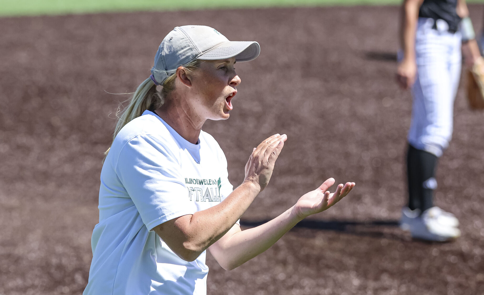 Illinois Wesleyan softball extends impressive winning streak with NCAA ...