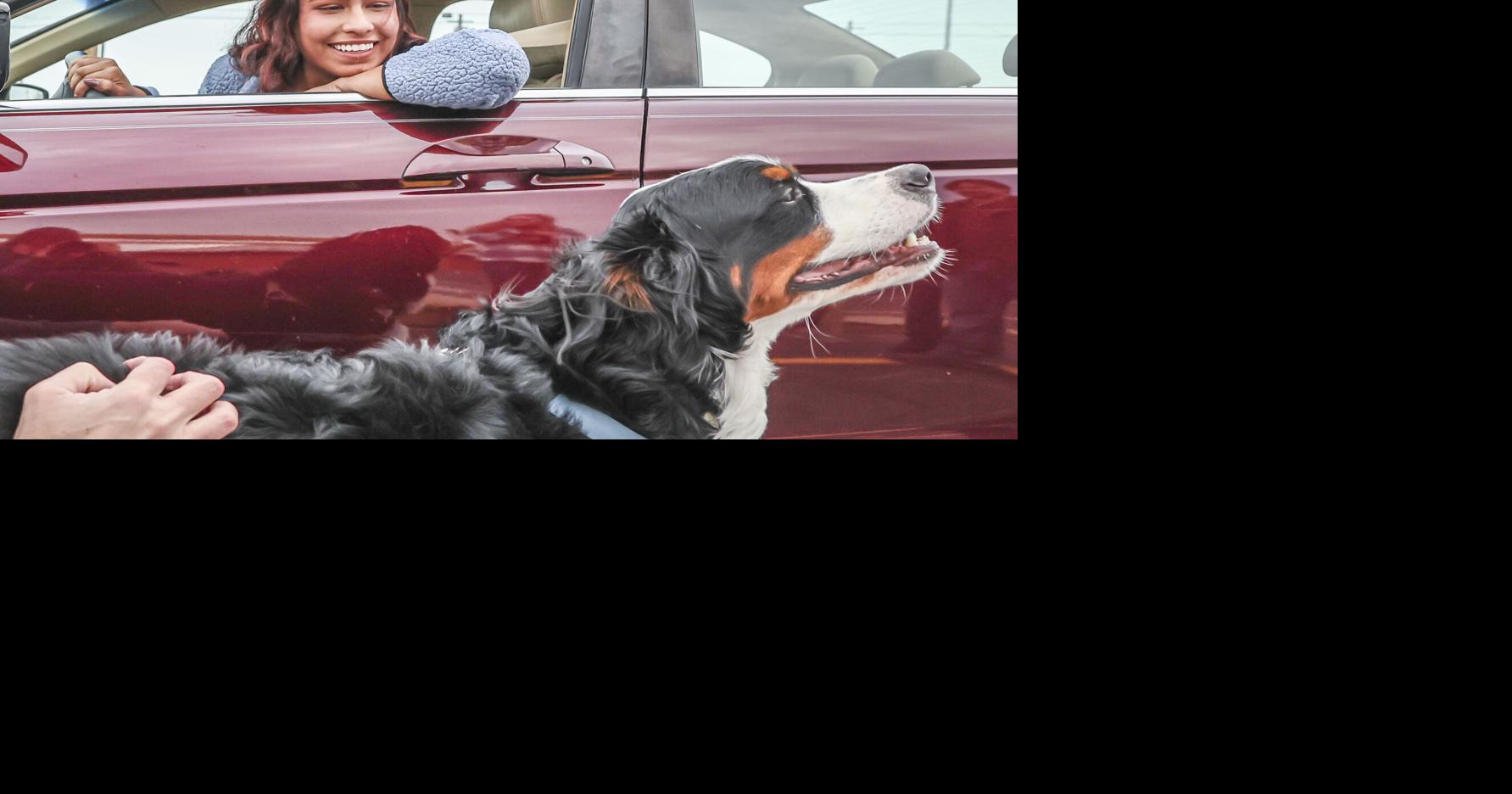 At Jasper's Java in Bloomington, coffee, community and dogs