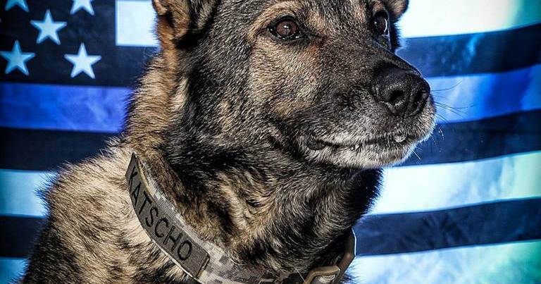 Ailing Dwight police dog retires, leaves legacy