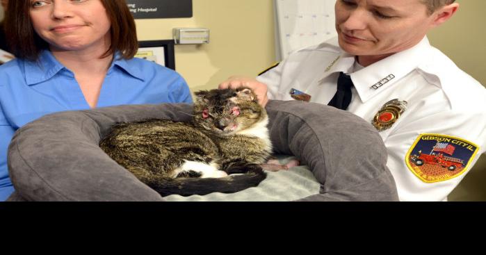 Kitten badly burned in fire goes home