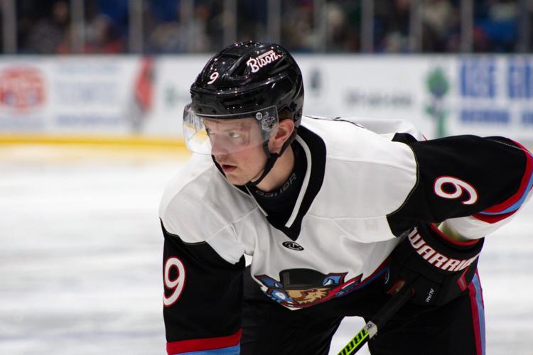 Flick Fact: The popular Normal street with a name that outlived its trees?