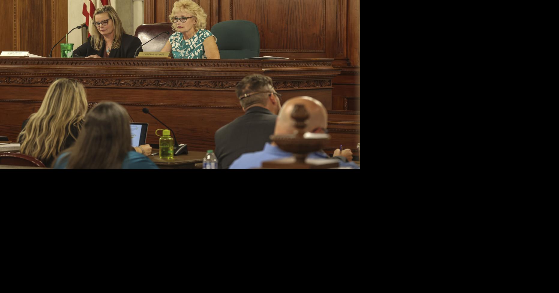 McLean County Board members address blue majority