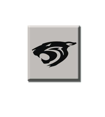 Meet the Normal West Wildcats