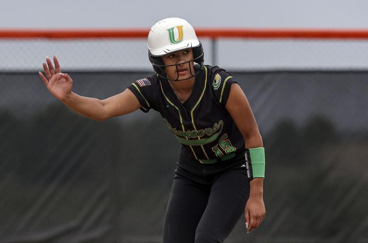 Freshman flashes power to lift Normal Community softball