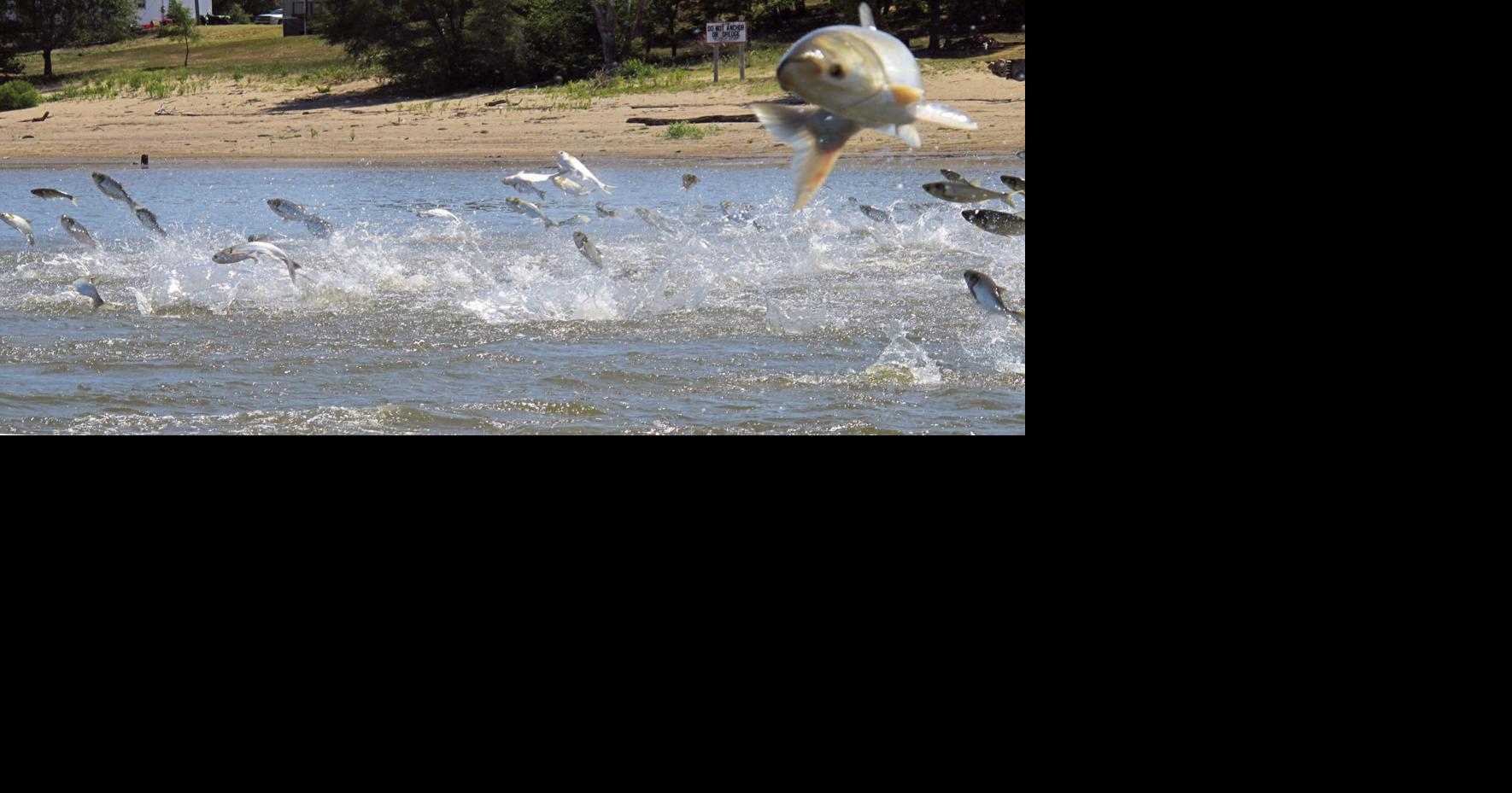 Deal reached on project to protect Great Lakes from invasive fish