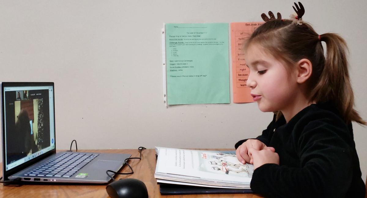 How Bloomington kids are still reading to therapy dogs, despite the ...