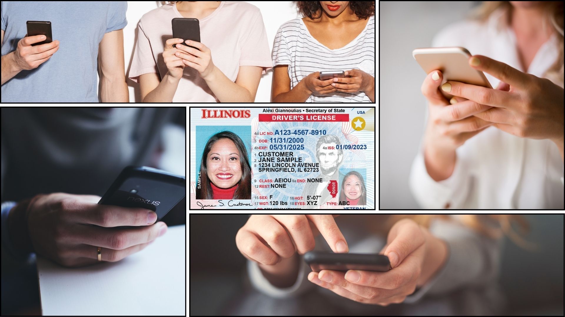 Free drivers license maker - kotifour