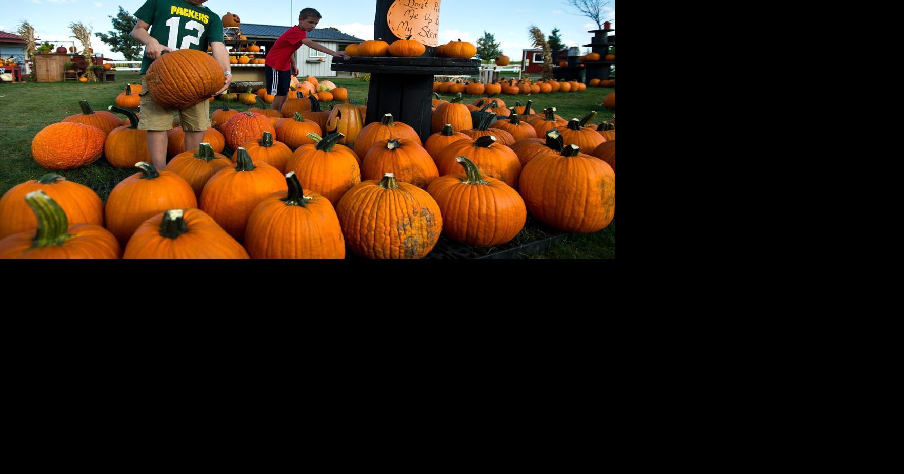 Bloomington to host 'Great Pumpkin Hunt'