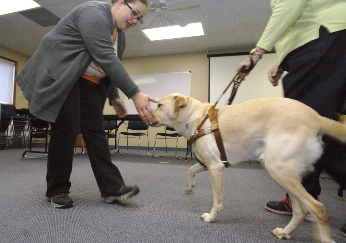 Common courtesy: Know the etiquette for service dogs | Health ...