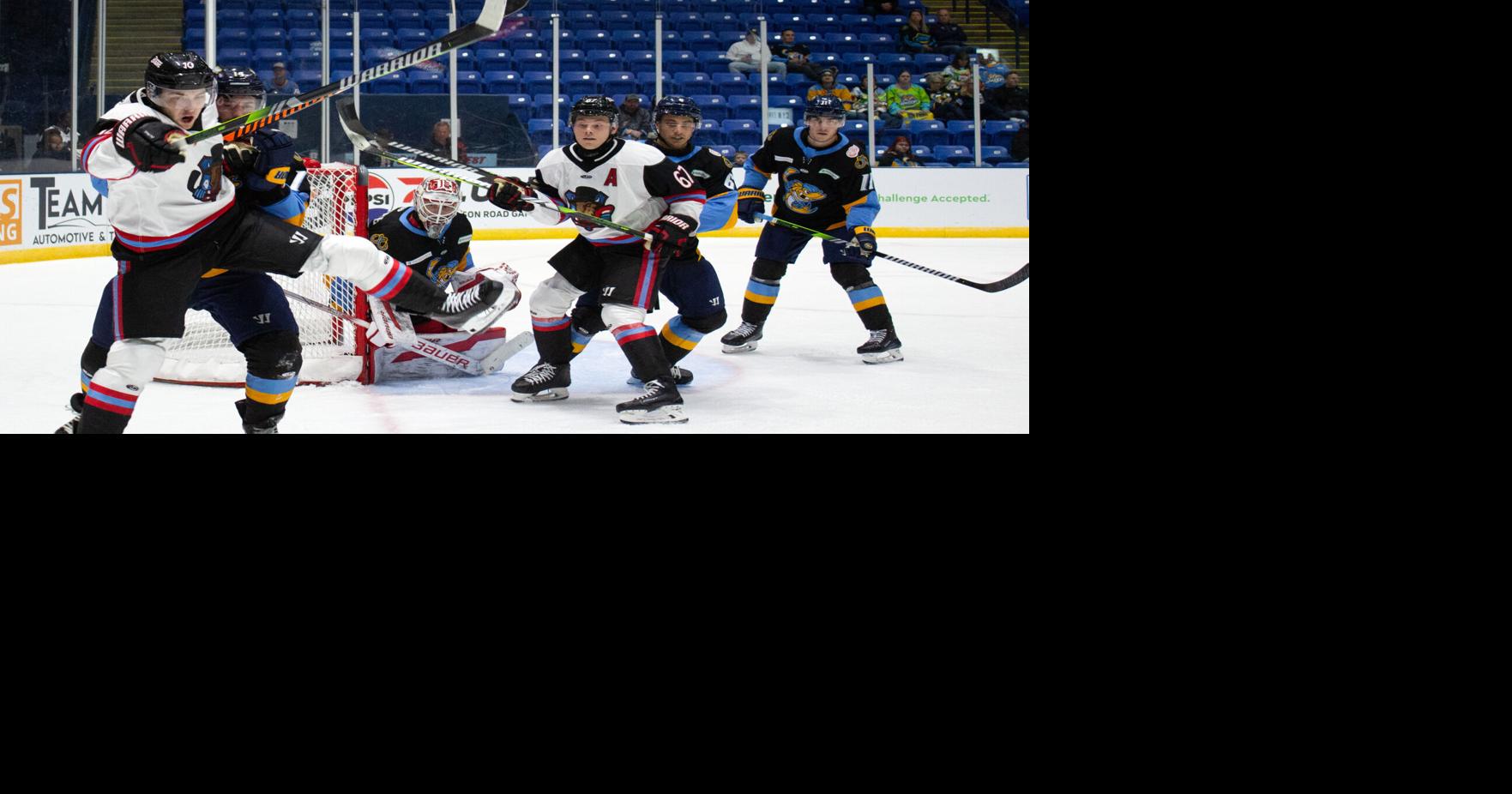 Bloomington Bison's stats and the ECHL standings