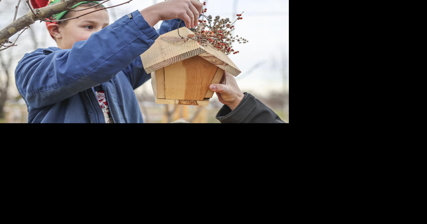 bird boxes 8 122023.JPG