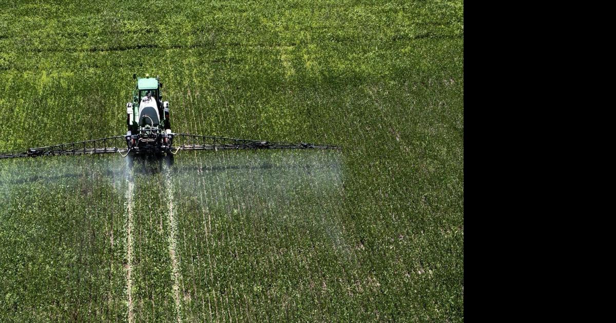 Guebert: Ag policy was about cultural stability, not endless market growth