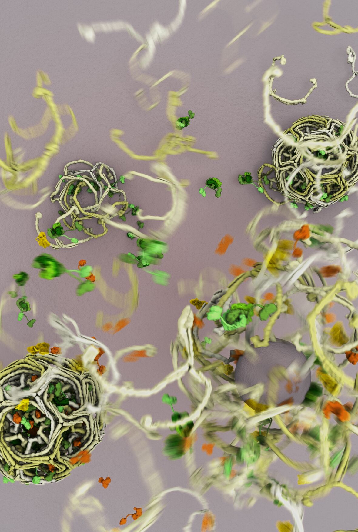 'Telling scientific stories': Q&A with Janet Iwasa, biochemist and 2023 ...