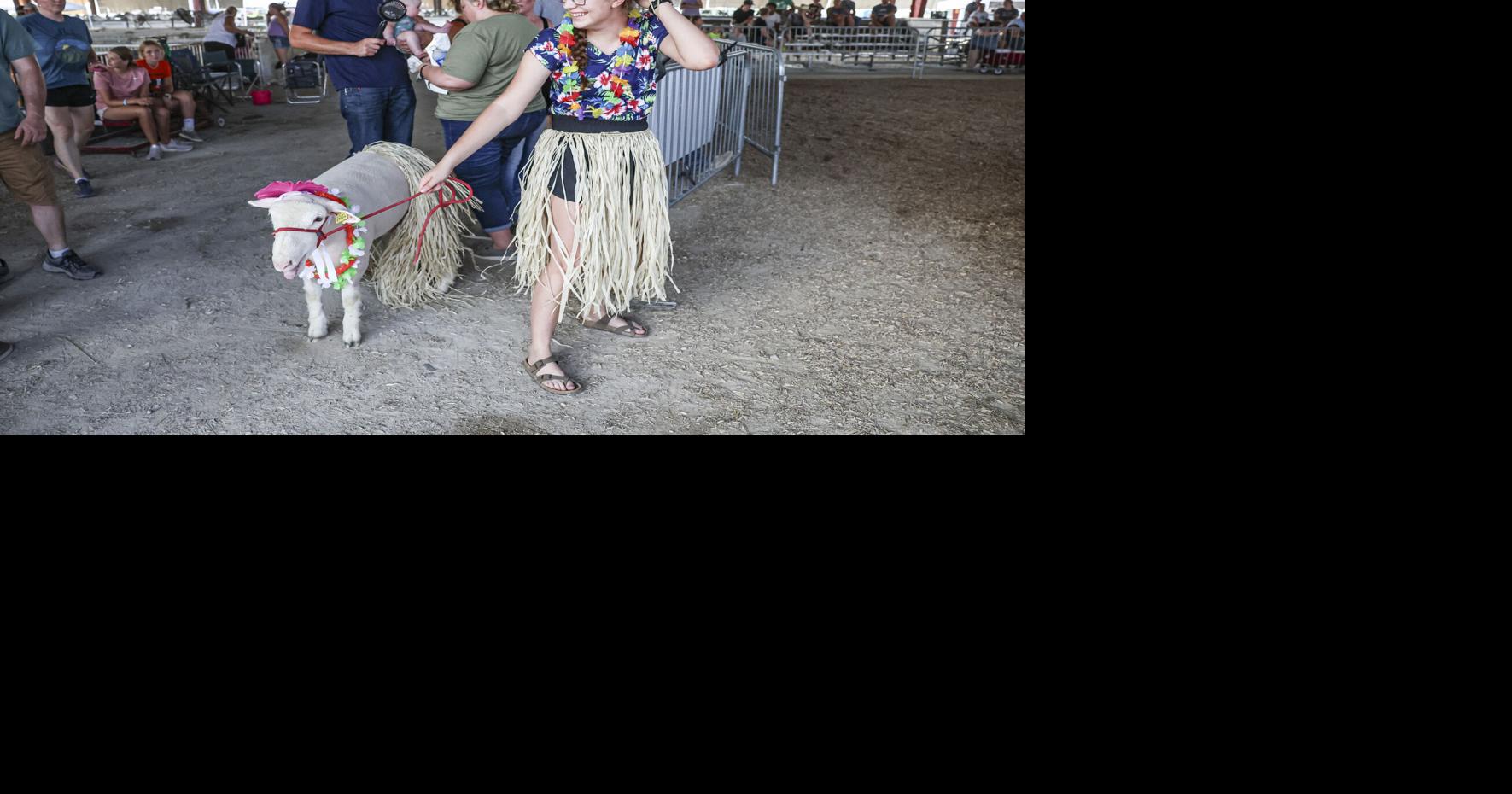 Photos: Sheep, goat, beef and dairy Costume Show during the McLean ...